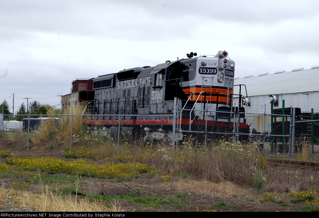 LLW 5399 FORMLY SP X5399